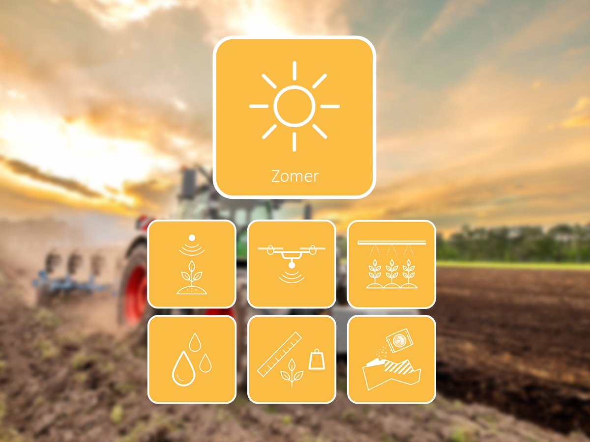 Zomer module | vdbornecampus.com