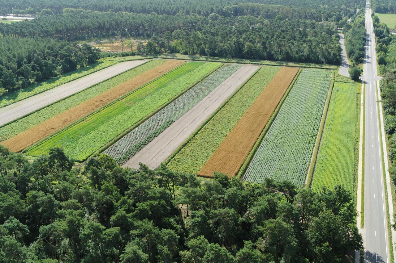 Fieldlab Strokenteelt | vdbornecampus.com
